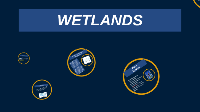 Wetlands by Sydney Seidel on Prezi