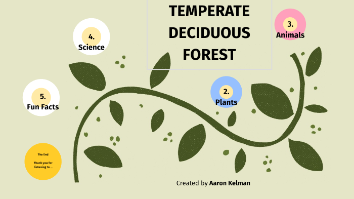 Temperate Deciduous Forest by AARON by Aaron Kelman on Prezi