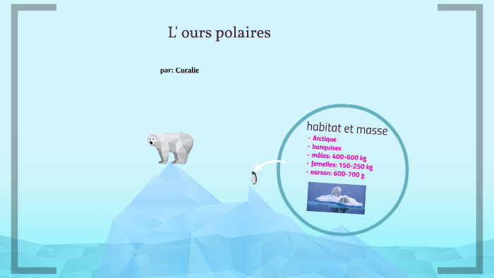 presantation oral : ours polaire by Coralie Hurens- Barrette on Prezi