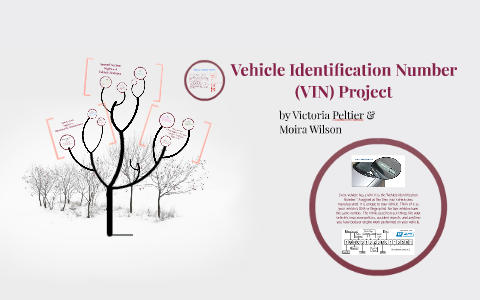 Vehicle Identification Number (VIN) Project by Victoria Peltier on Prezi
