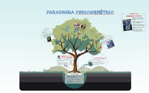 PARADÍGMA PSICOGENÉTICO by on Prezi