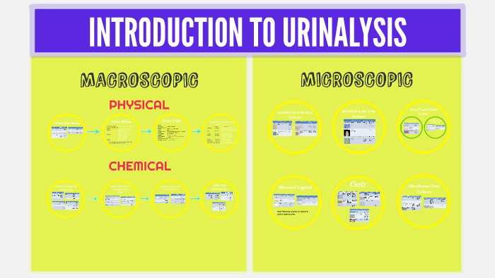 INTRODUCTION TO URINALYSIS by David Santos on Prezi