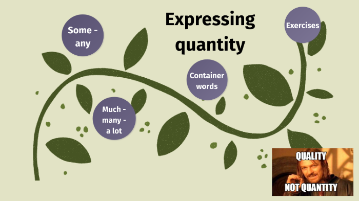 Expressing quantity by Melissa Schelfhout on Prezi