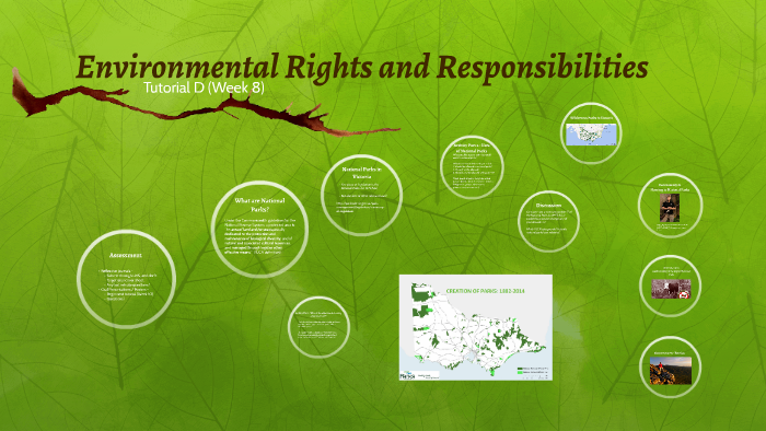 Environmental Rights and Responsibilities by on Prezi
