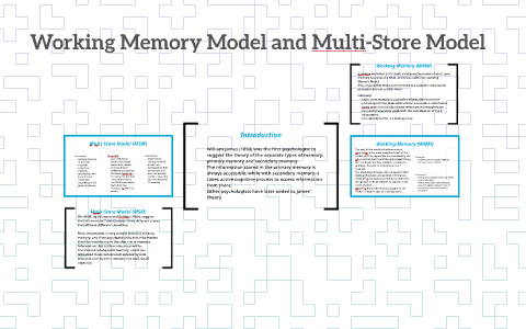 Working Memory Model and Multi-store Model by Signe Skovgaard Madsen on ...