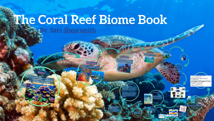 The Coral Reef Biome Book by Sara Shearsmith on Prezi