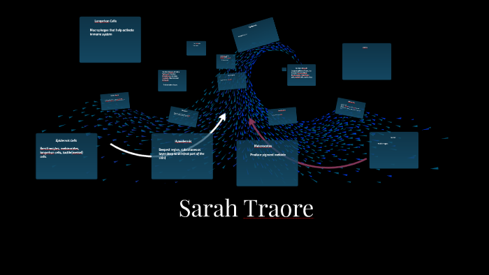 Stratum Basale by sarah traore on Prezi