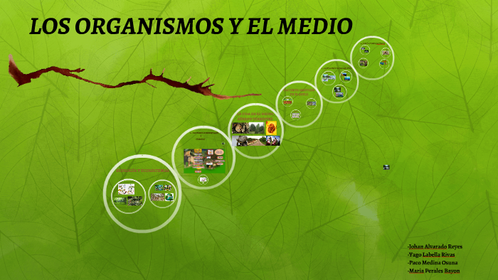 LOS ORGANISMOS Y EL MEDIO by María Perales on Prezi