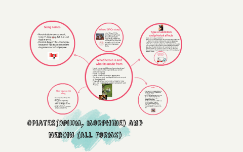 opiates(opium, morphine) and heroin (all forms) by katelynn yanowiak on ...