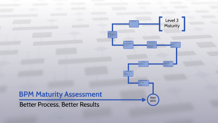 BPM Maturity Assessment by on Prezi