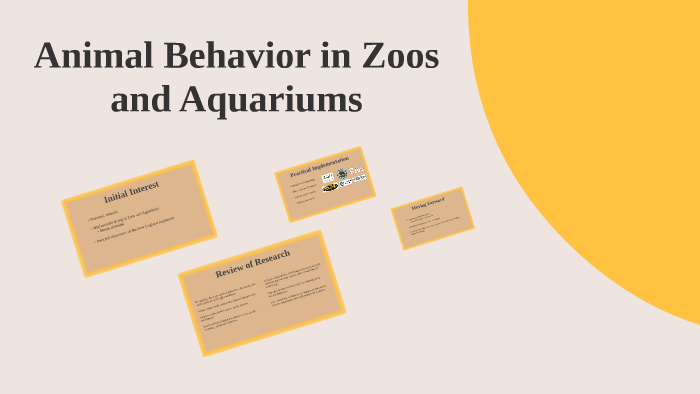Animal Behavior in Zoos by Diana Waterman on Prezi