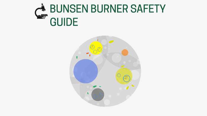 BUNSEN BURNER SAFETY GUIDE by cecilia cobo