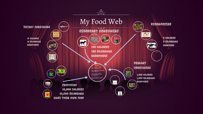 My Food Web by Mari K on Prezi