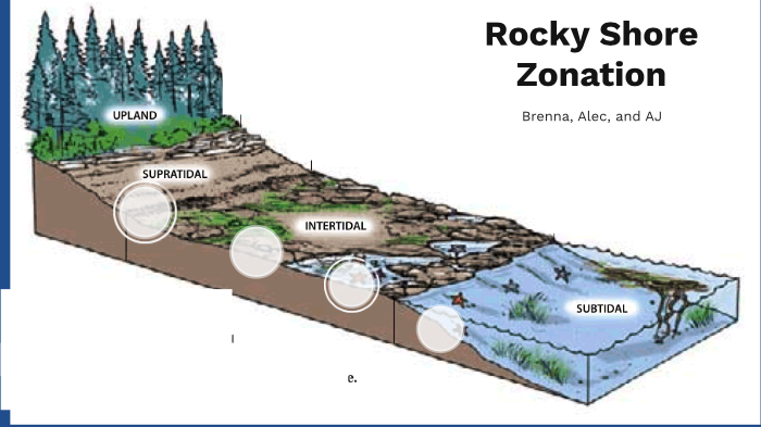 Zonation by AJ Dykstra on Prezi