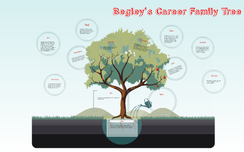 Begley's Career Family Tree by Michaela Begley on Prezi