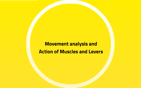 Action of Muscles and Levers by Angela Ponton on Prezi