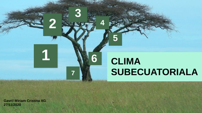 clima subecuatorială by miriam gavril on Prezi