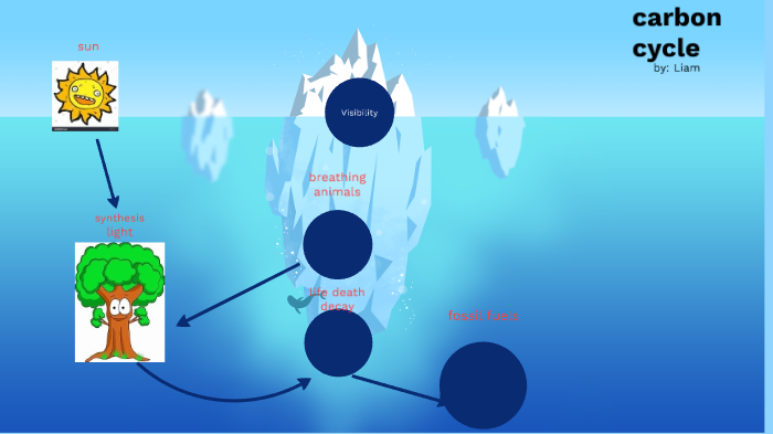 Liam carbon cycle by liam Peach Dawson on Prezi
