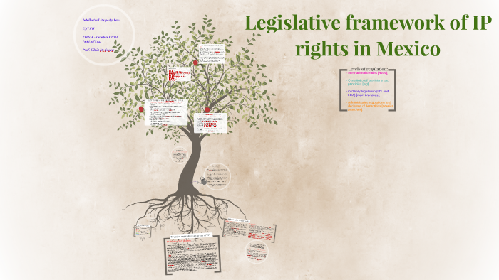 Legislative framework of IP by Silvia De Conca