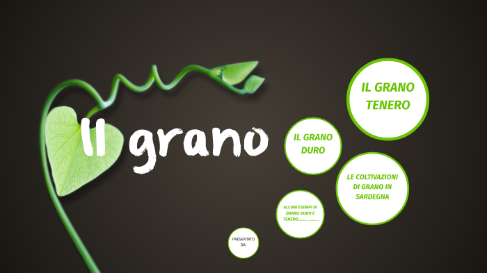 IL GRANO by daniele plumitallo on Prezi