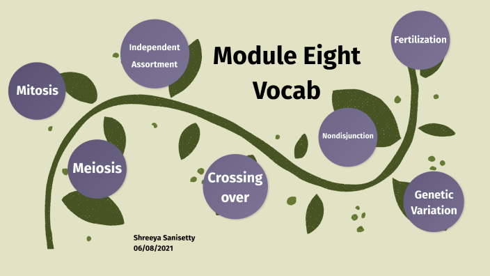 Module eight lesson one pathway three activity by Shreeya Sanisetty on ...