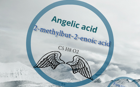 Angelic Acid by Aryesh Ramlall on Prezi