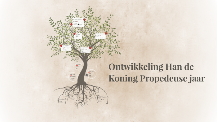 Ontwikkeling Han de Koning Propedeuse jaar by han de koning on Prezi