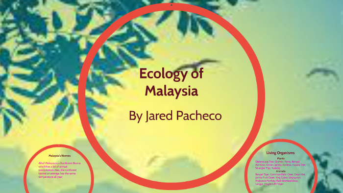 Ecology of Malaysia by Jared Pacheco on Prezi