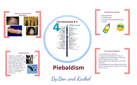 Piebaldism by Rachel Ruff on Prezi