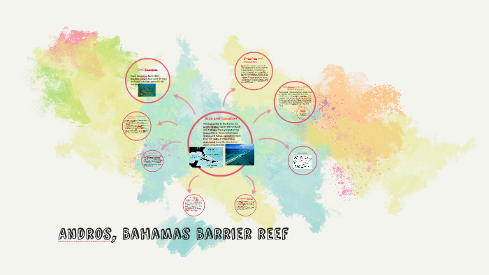 Andros, Bahamas Barrier reef by Marielle Hug on Prezi