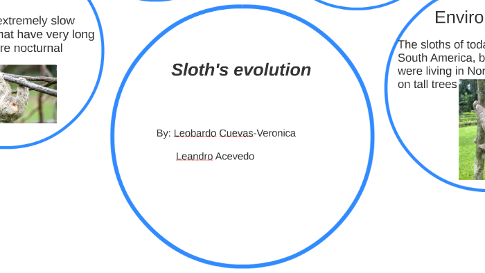 Sloth's evolution by Leobardo Cuevas on Prezi