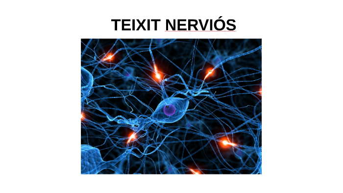 TEIXIT NERVIÓS by Xènia Fàbrega Arnau on Prezi