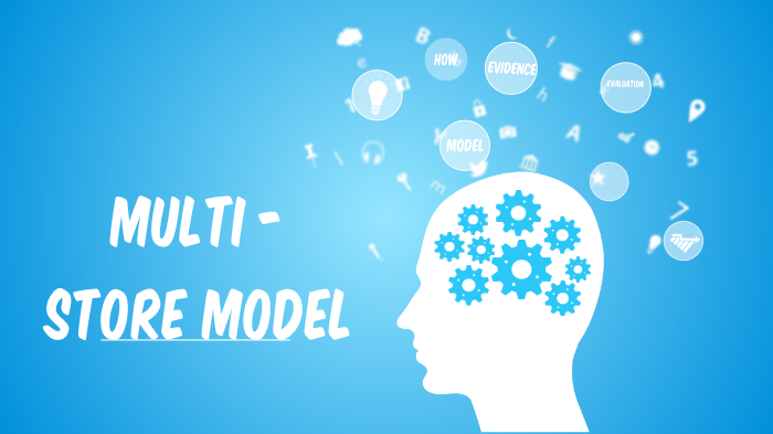 Multi-Store Model by Charlotte Moore on Prezi