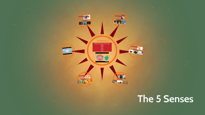 The 5 Senses by Emily Broadwater on Prezi