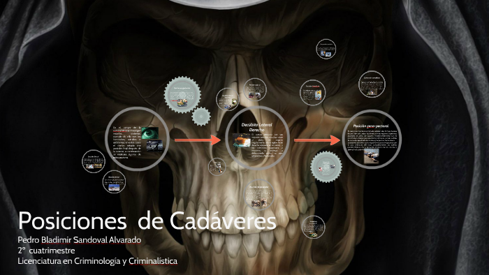 Posiciones de cadáveres by pedro bladimir sandoval alvarado on Prezi