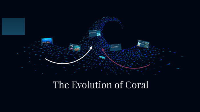 The Evolution of Coral by Iasemina Faumui on Prezi