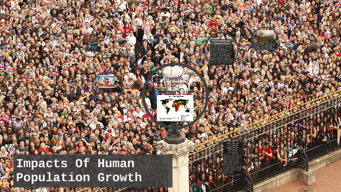 Impacts of Human Population Growth by Sean Whyard on Prezi