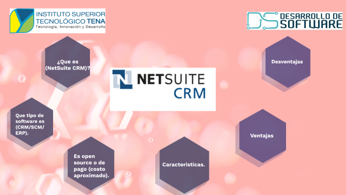 netsuite(crm) by Alex Ch on Prezi