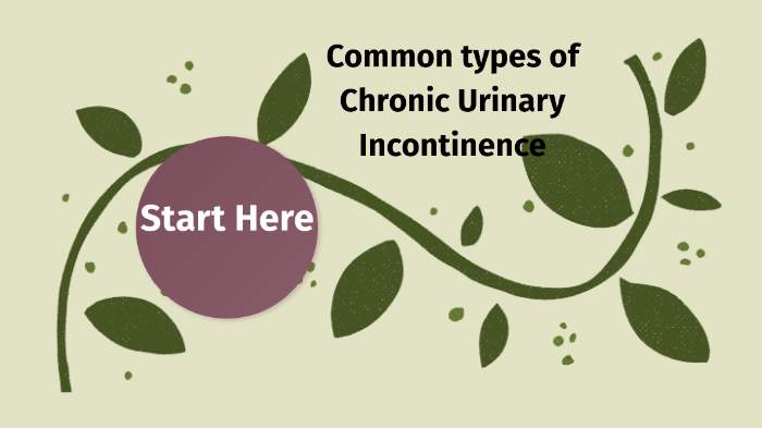 Urinary Incontinence Differential Diagnosis by Shannon Nicholls on Prezi
