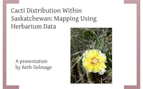 Cacti Distribution in Saskatchewan: Mapping using Herbarium Data by ...