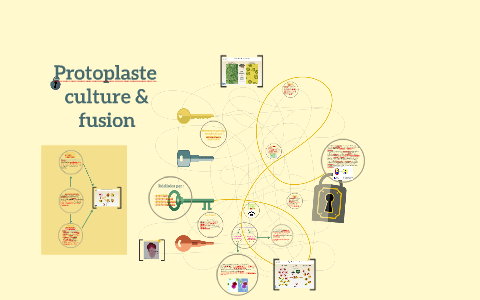 Protoplaste by saied fafa on Prezi