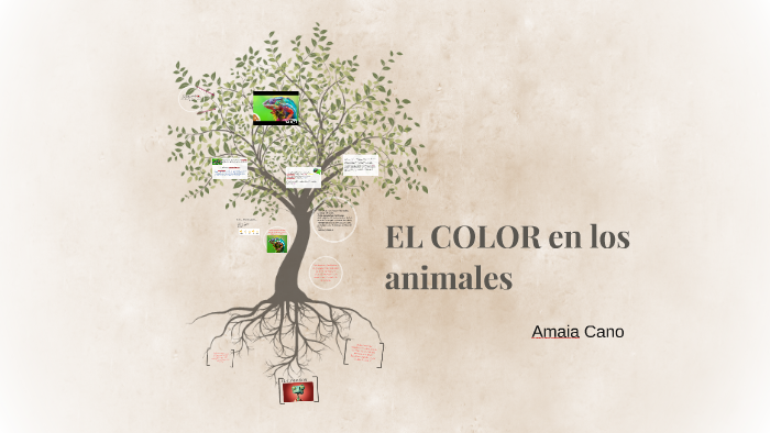 EL COLOR en los animales by Amaia Janire on Prezi