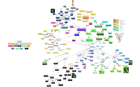 Biodiversity Concept Map by Amanjot Chhoker on Prezi