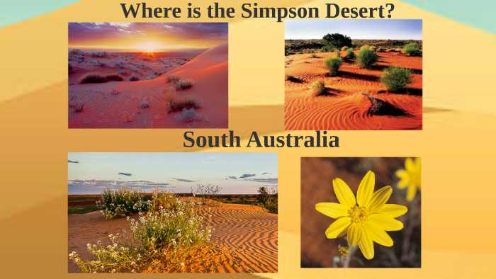 Simpson Desert Food Web by Kassidy Stern on Prezi