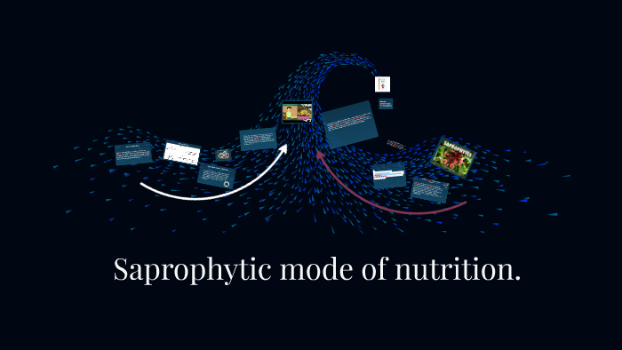 Saprophytic mode of nutrition. by Subansiri group on Prezi