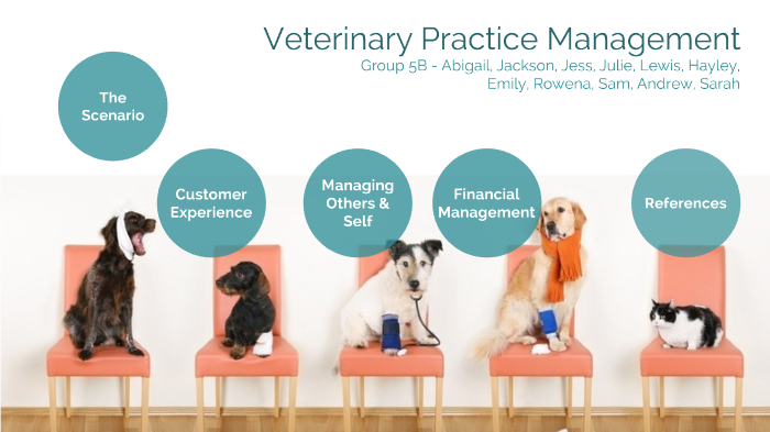 Veterinary Practice Management by Hayley L on Prezi
