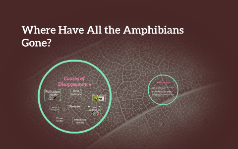 The Frog's Niche in the Ecosystem by Chelbie Maurer on Prezi