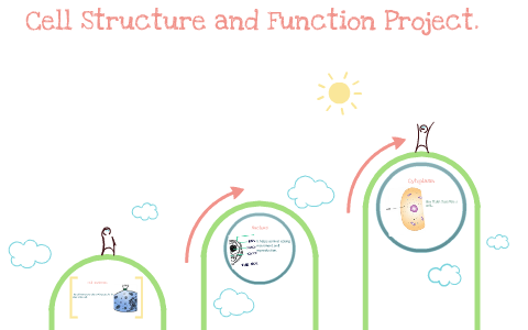 Cell Structure and Function Project. by Carola Hernandez on Prezi