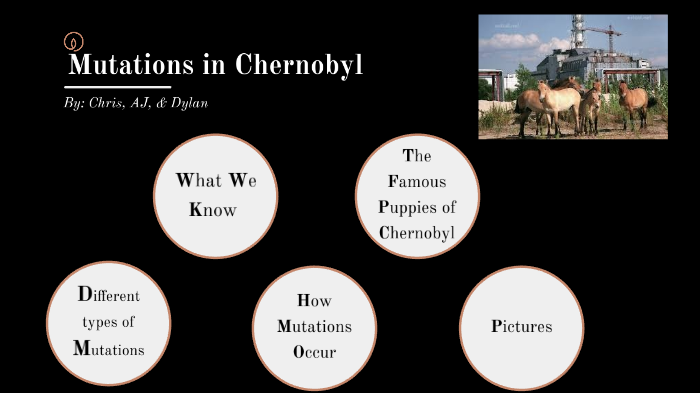 Mutations in Chernobyl by Christopher Murrell on Prezi