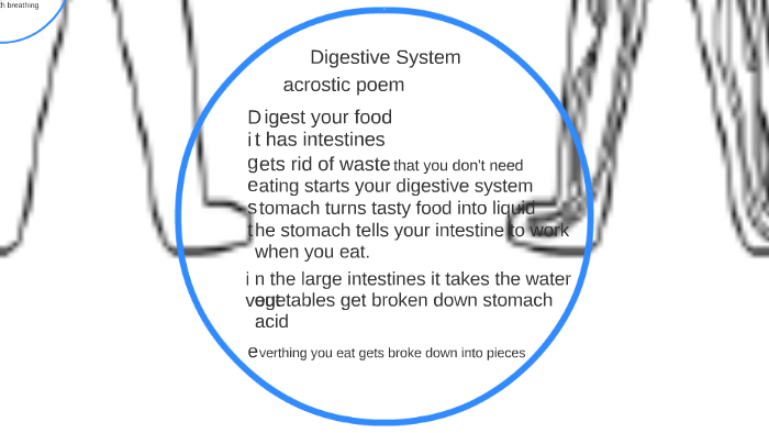 Digestive System by Lindsey Garcia on Prezi